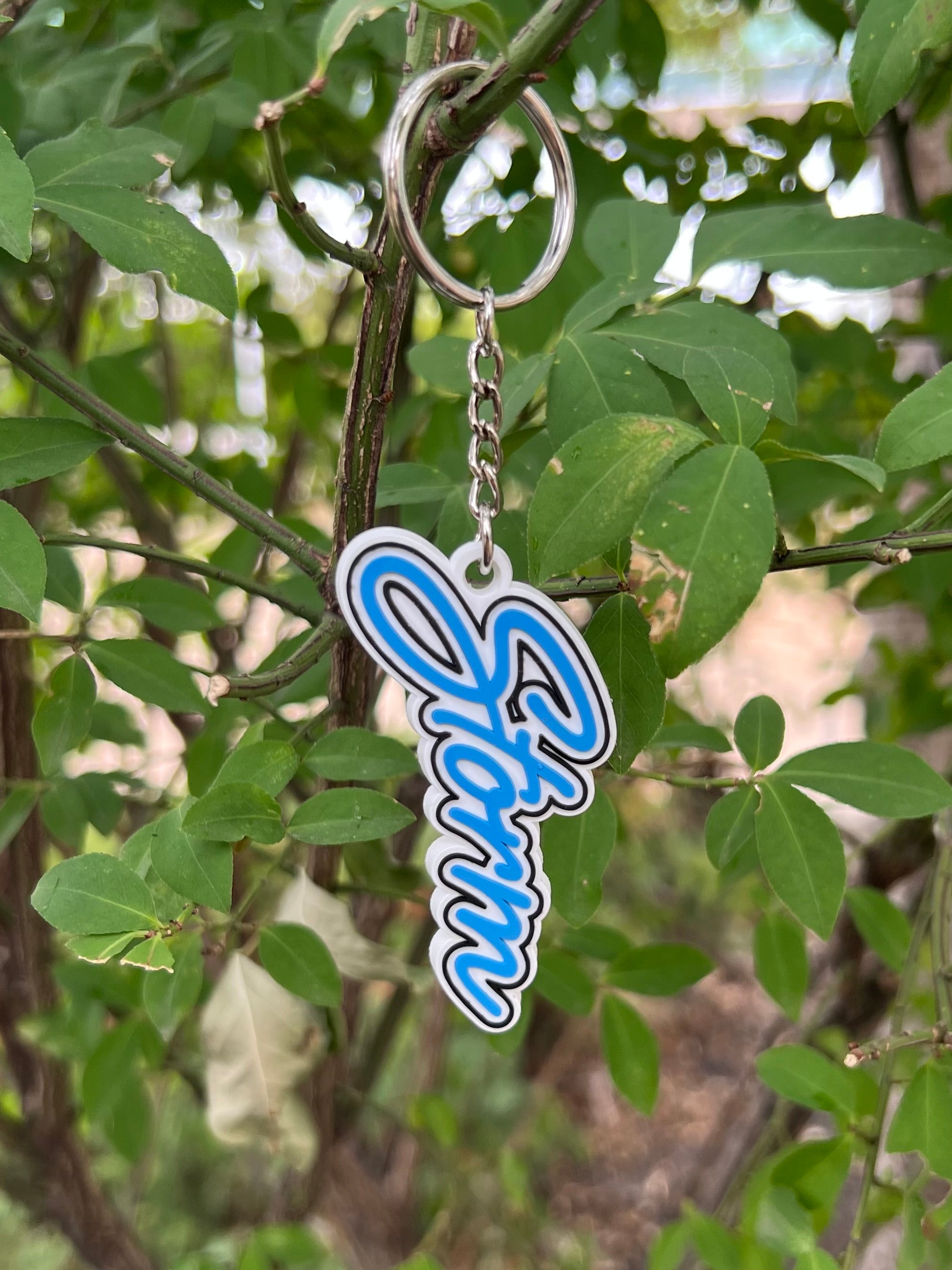 Script Storm Keychain – Quad City Storm Team Store and Pro Shop